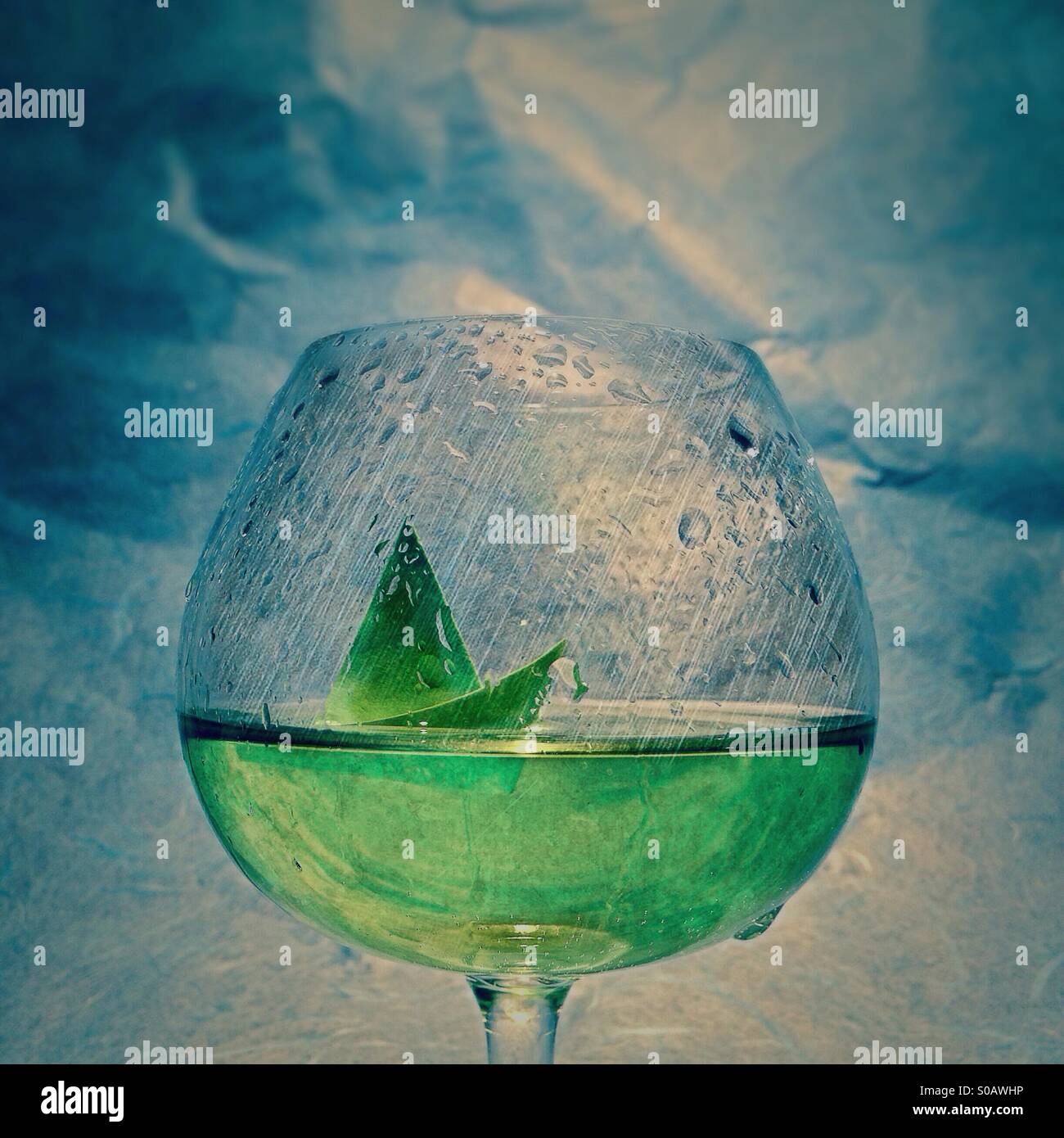 Rain glass storm glass hi-res stock photography and images - Alamy