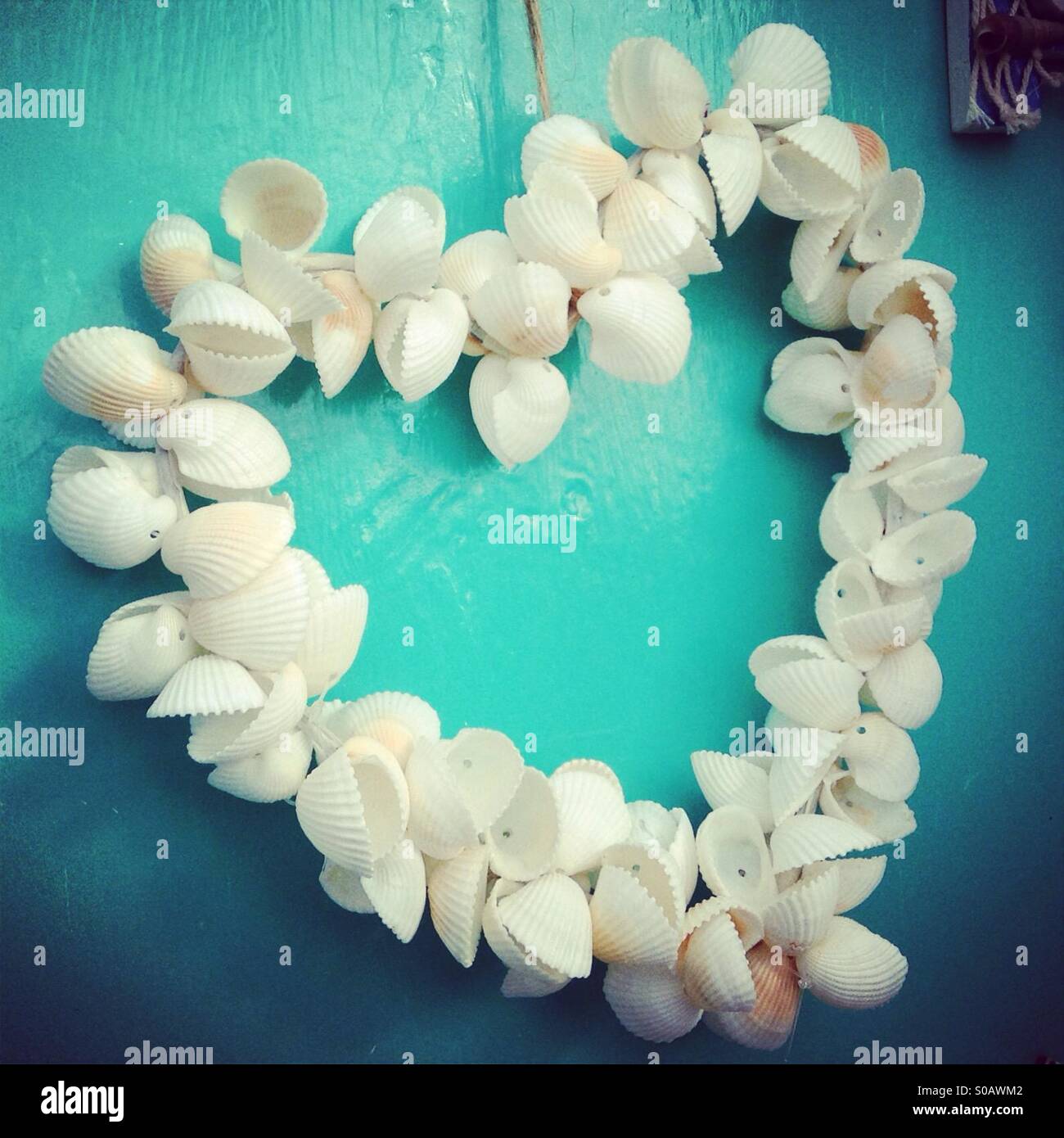 Heart made shells heart shape hi-res stock photography and images - Alamy