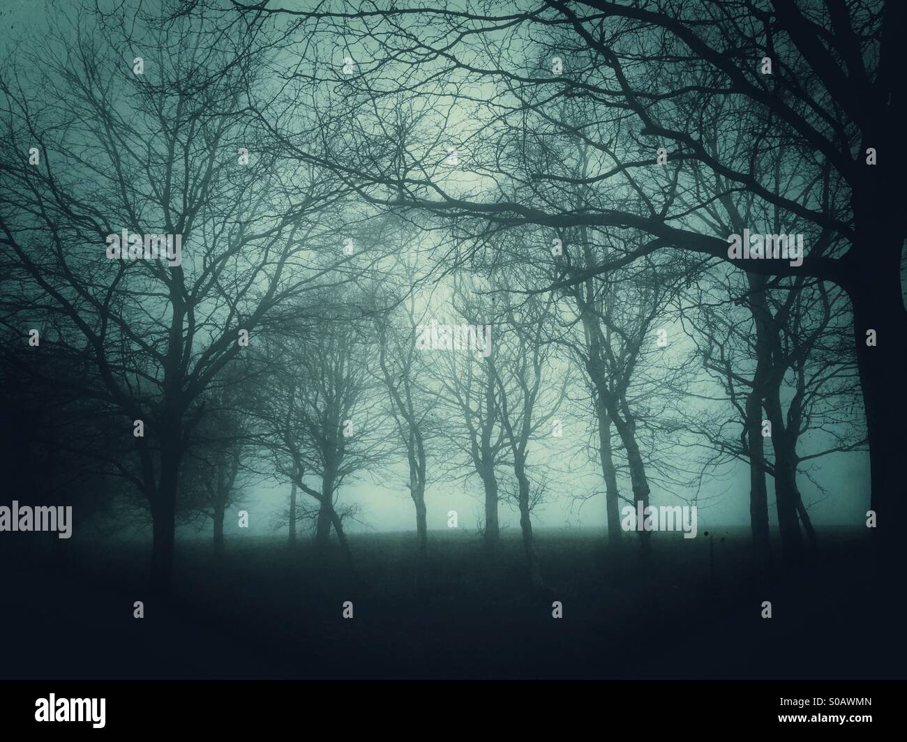 Misty dark haunted hi-res stock photography and images - Alamy