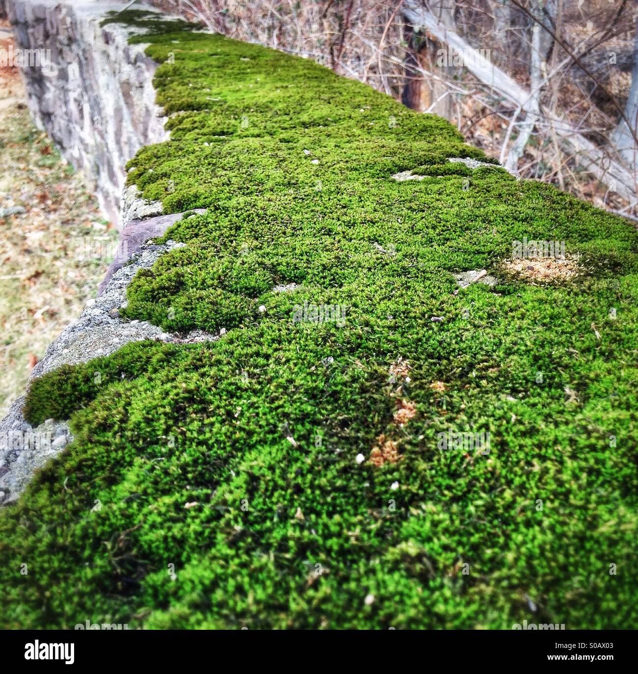 Moss Covered Stone Wall High Resolution Stock Photography and Images ...