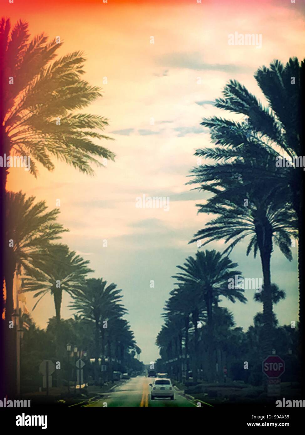 Palm distance hi-res stock photography and images - Alamy