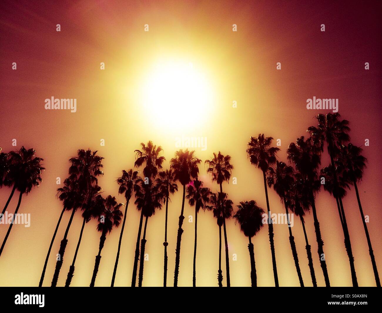 Hot and sunny weather hi-res stock photography and images - Alamy