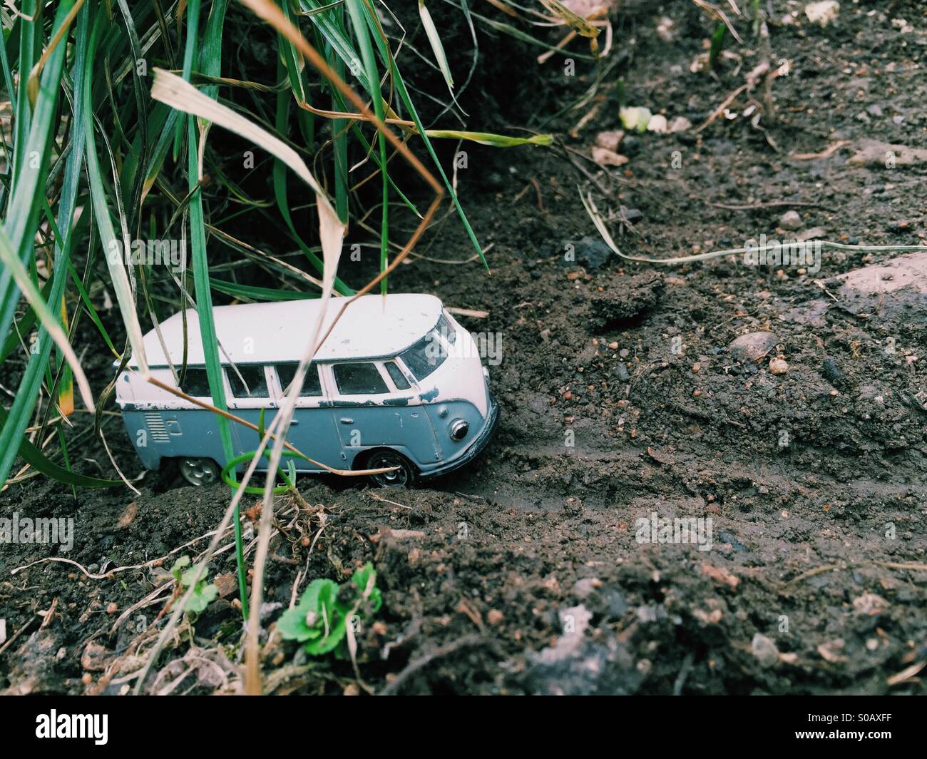 Bus in nature hi-res stock photography and images - Alamy