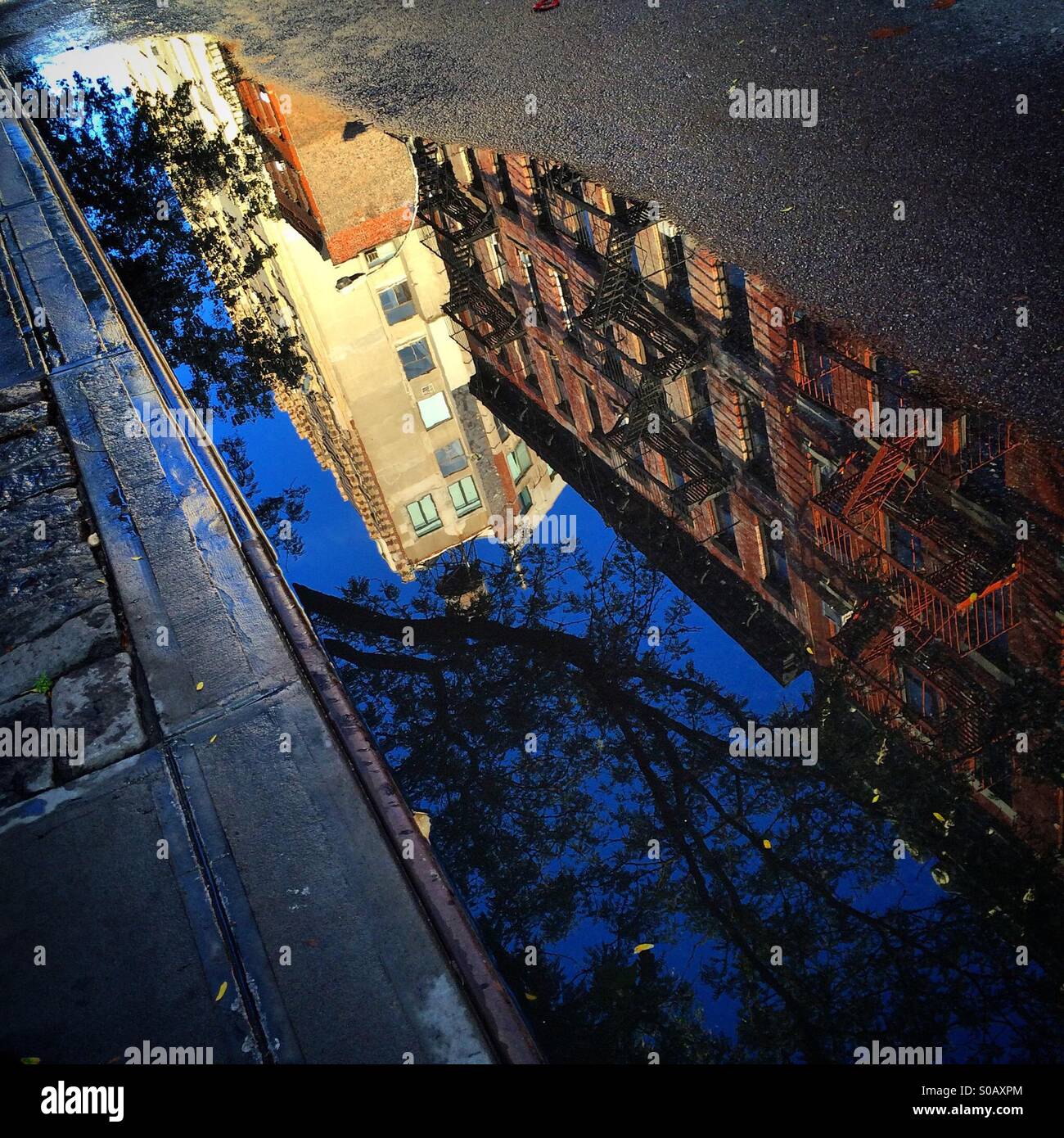 A reflection of buildings in a puddle on Cornelia Street in the West ...