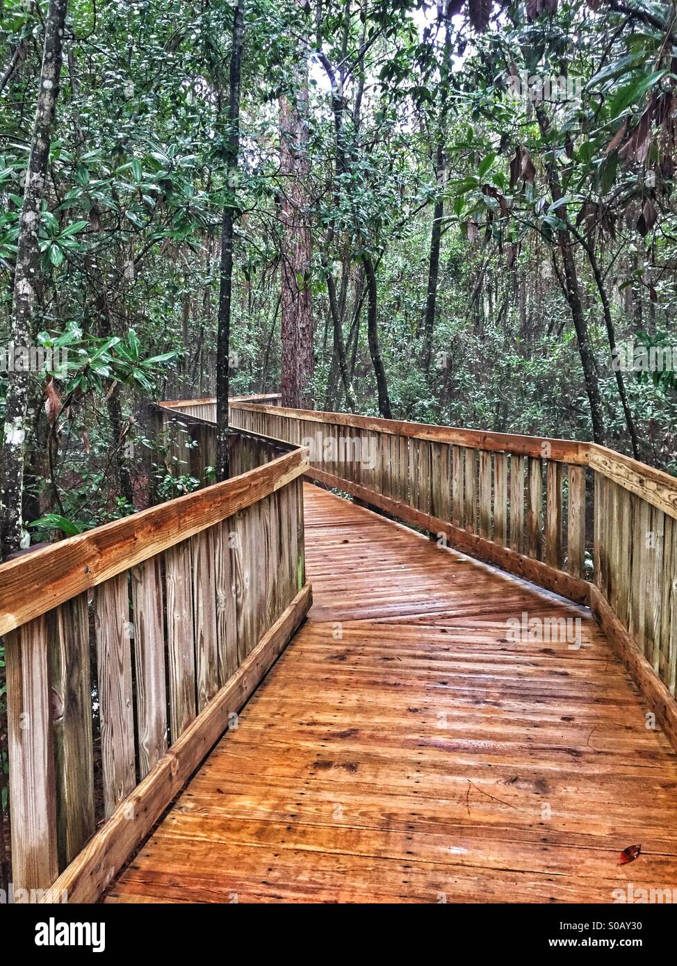 Beautiful walk hi-res stock photography and images - Alamy