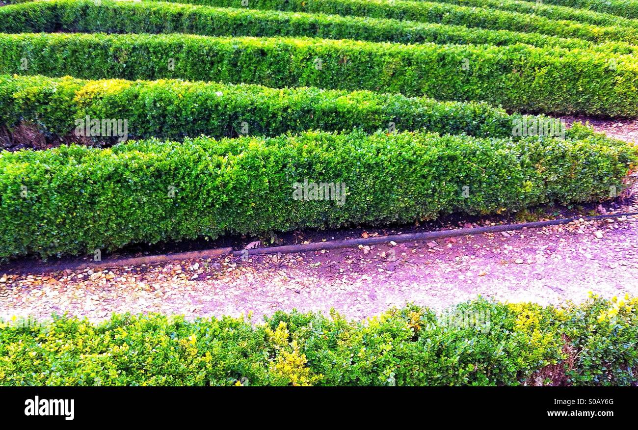 Formal box hedge hi-res stock photography and images - Alamy