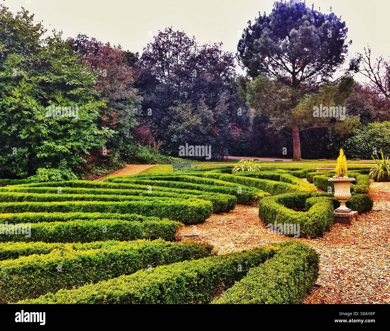 Box hedge hi-res stock photography and images - Alamy