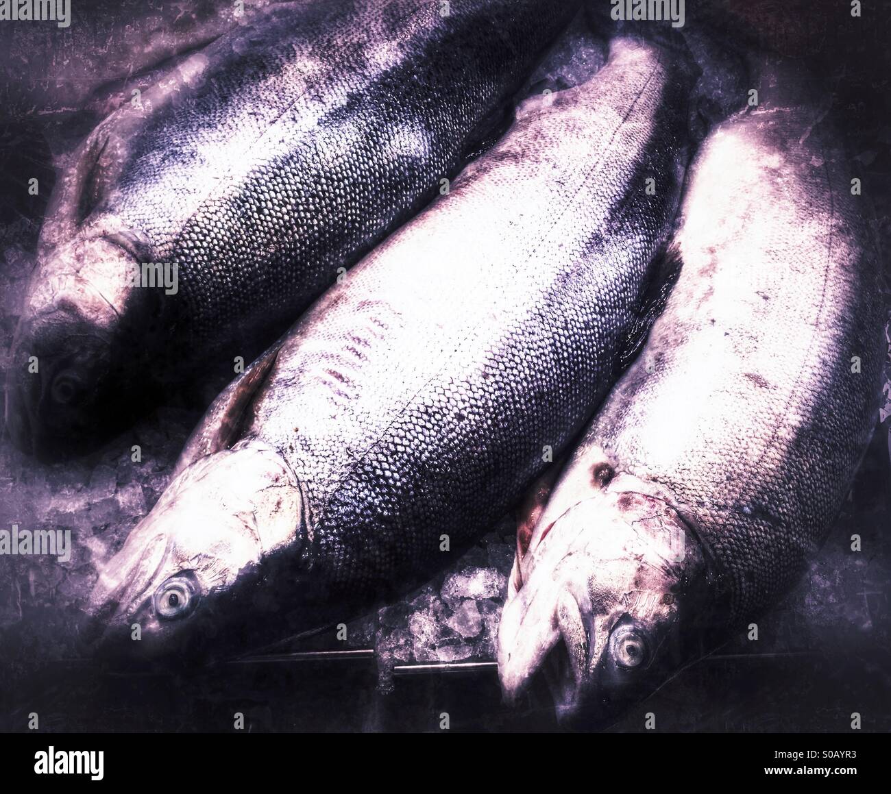 Supermarket fish counter hi-res stock photography and images - Alamy