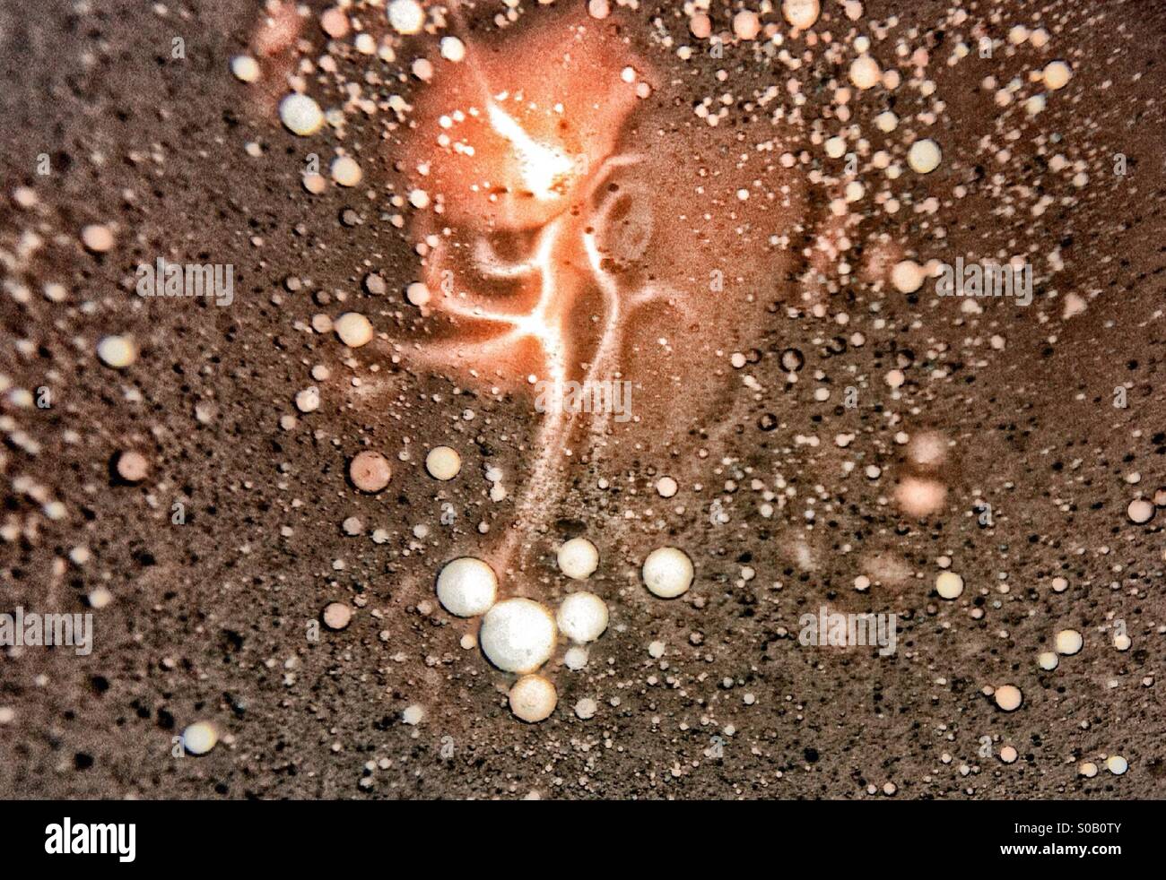 Inverted drop hi-res stock photography and images - Alamy