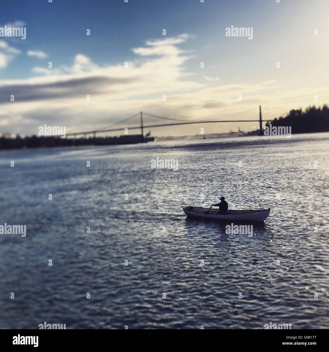 Man rowing rowboat in west Vancouver water with the lions gate bridge ...