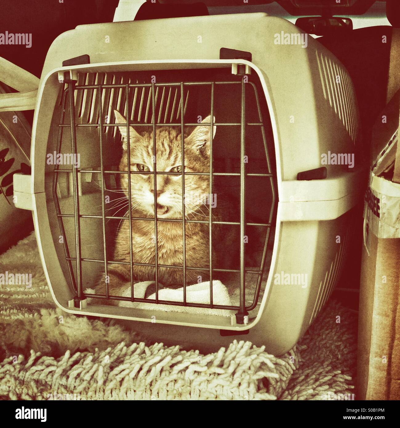 Back crate hi-res stock photography and images - Alamy