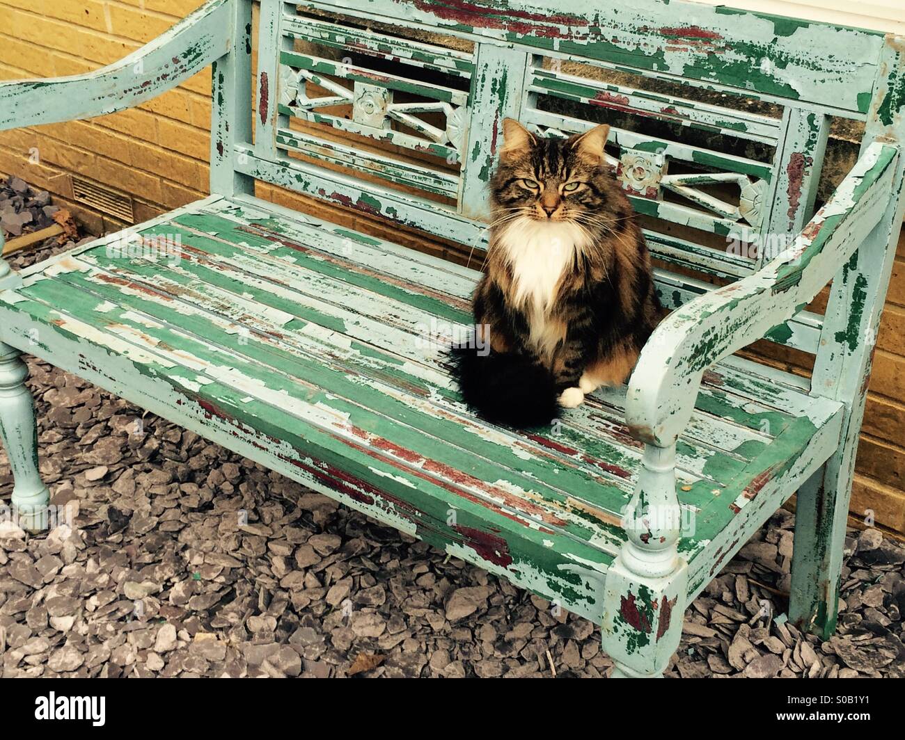 Animal bench hi-res stock photography and images - Alamy