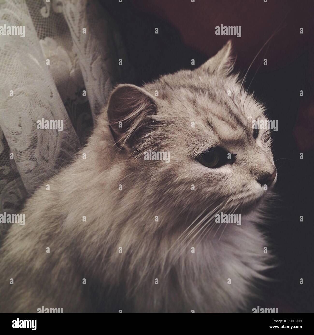 House wise hi-res stock photography and images - Alamy