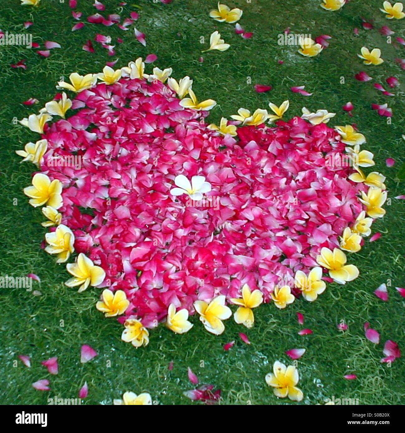 Flowers of Love Stock Photo - Alamy