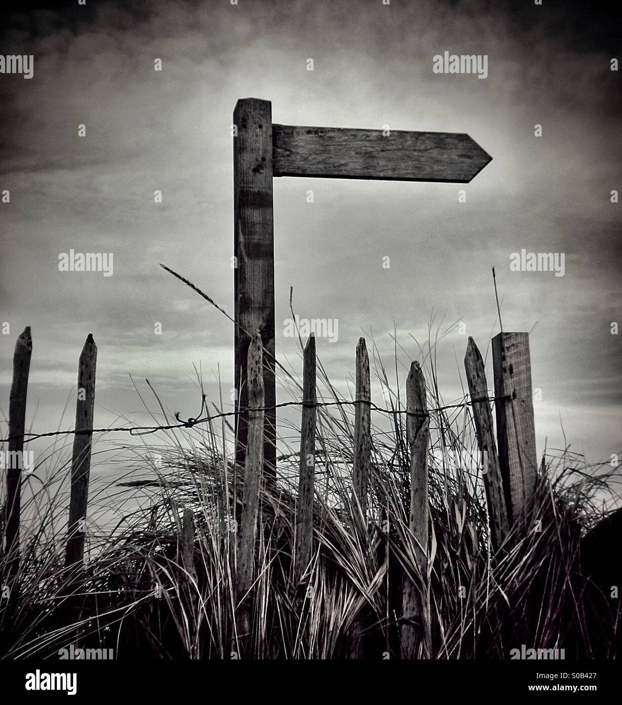 Signpost to nowhere Stock Photo - Alamy