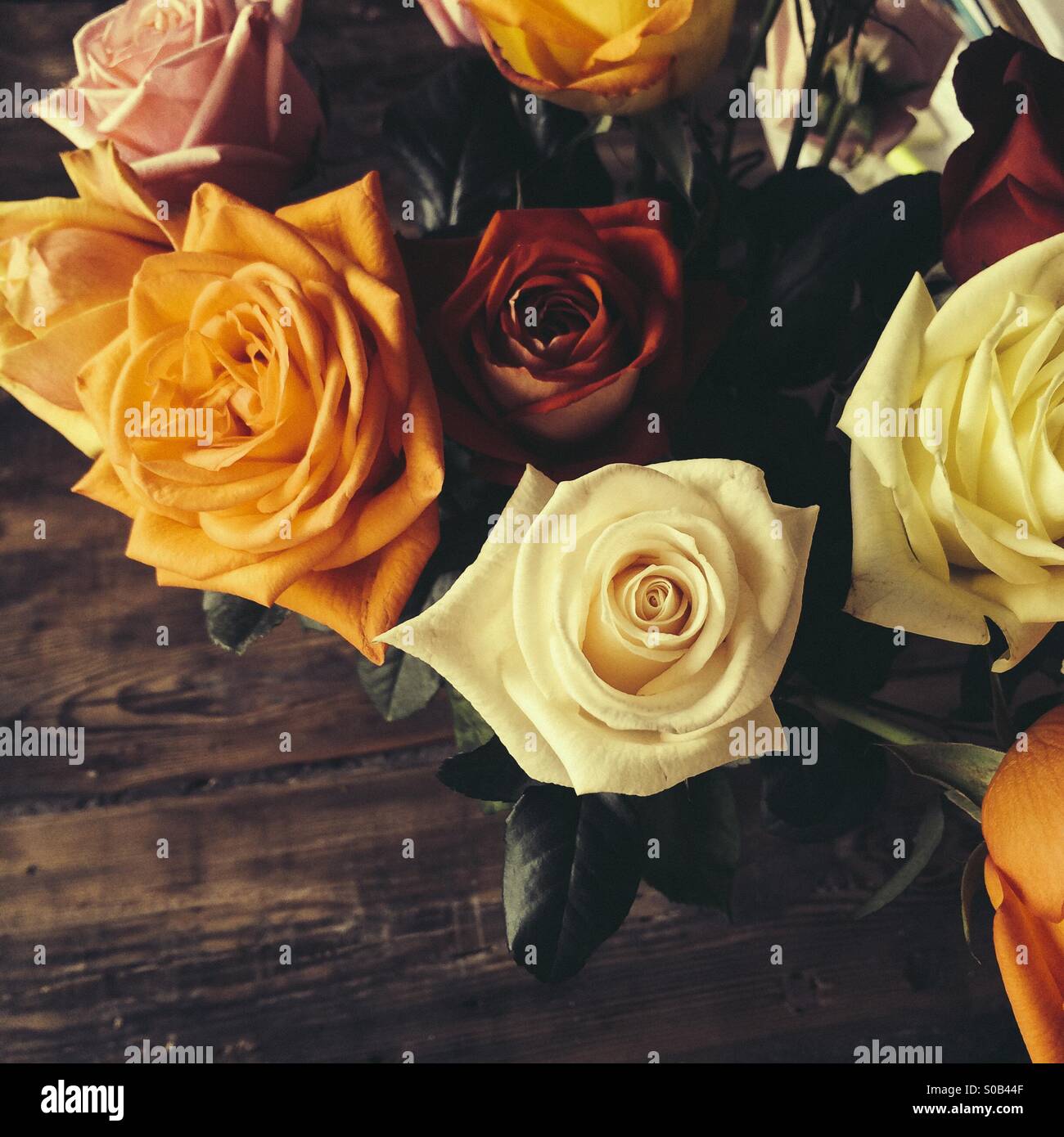 Polaroid style hi-res stock photography and images - Alamy Polaroid style hi-res stock photography and images - Alamy