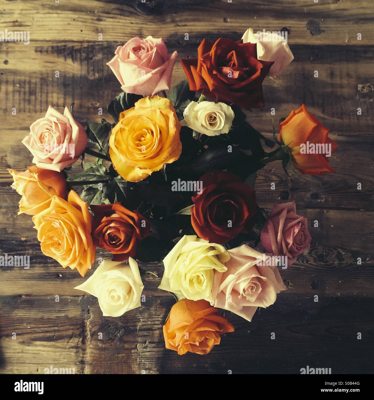 Polaroid style hi-res stock photography and images - Alamy Polaroid style hi-res stock photography and images - Alamy
