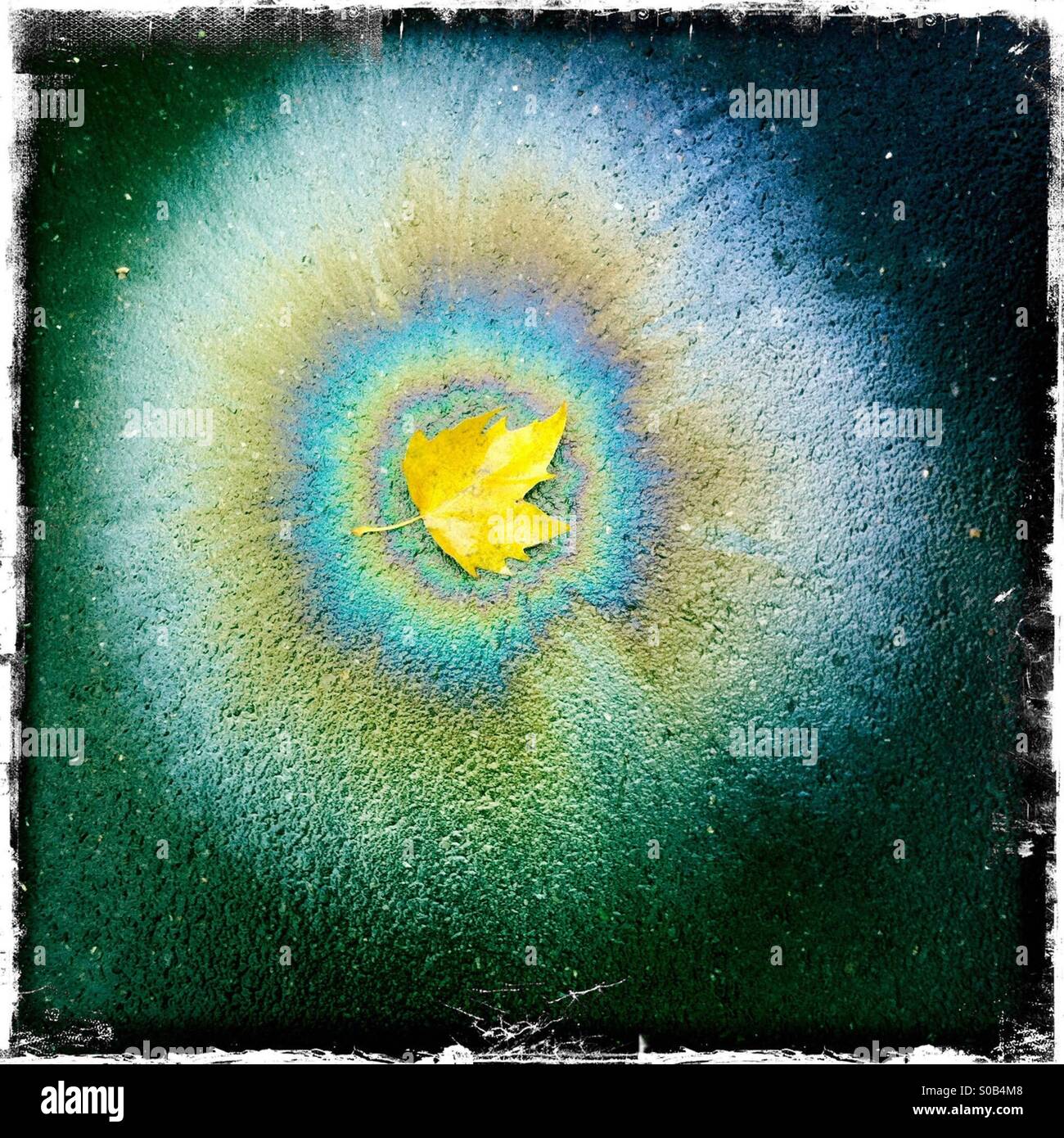 Oil stain hi-res stock photography and images - Alamy
