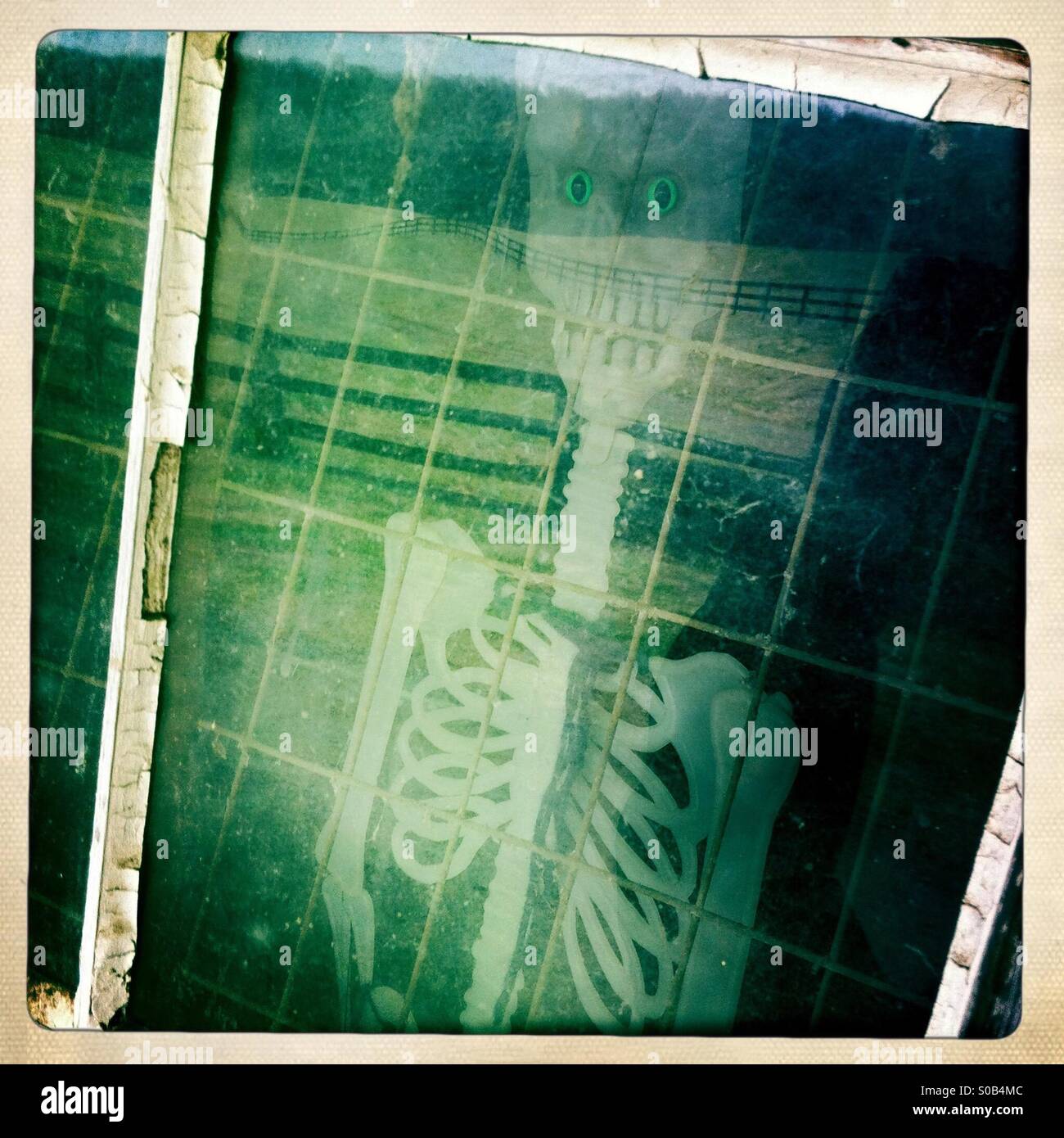 Angry skeleton in a basement window Stock Photo - Alamy