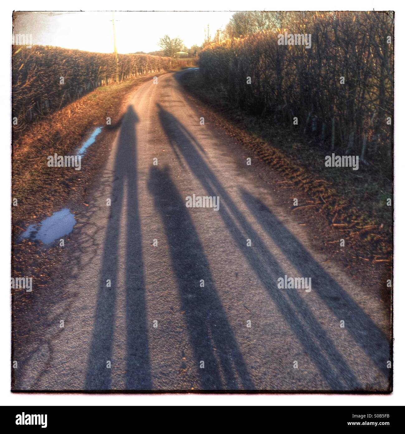 Couple and dog shadows hi-res stock photography and images - Alamy