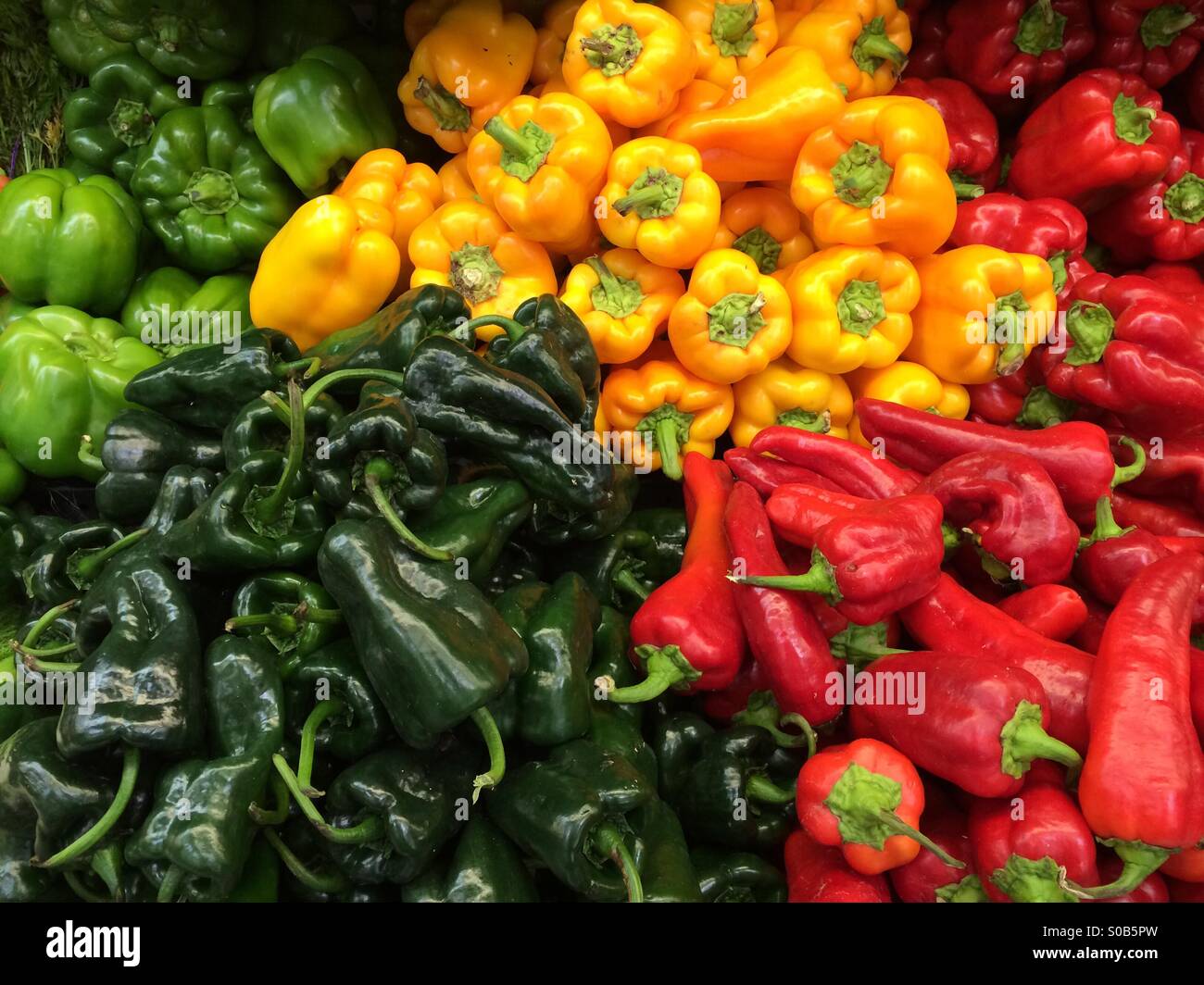 Peppers variety hi-res stock photography and images - Alamy