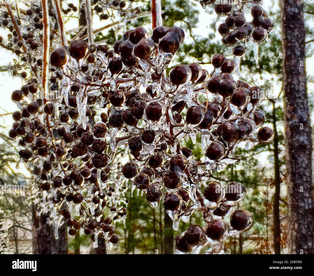 Ice chill hi-res stock photography and images - Alamy