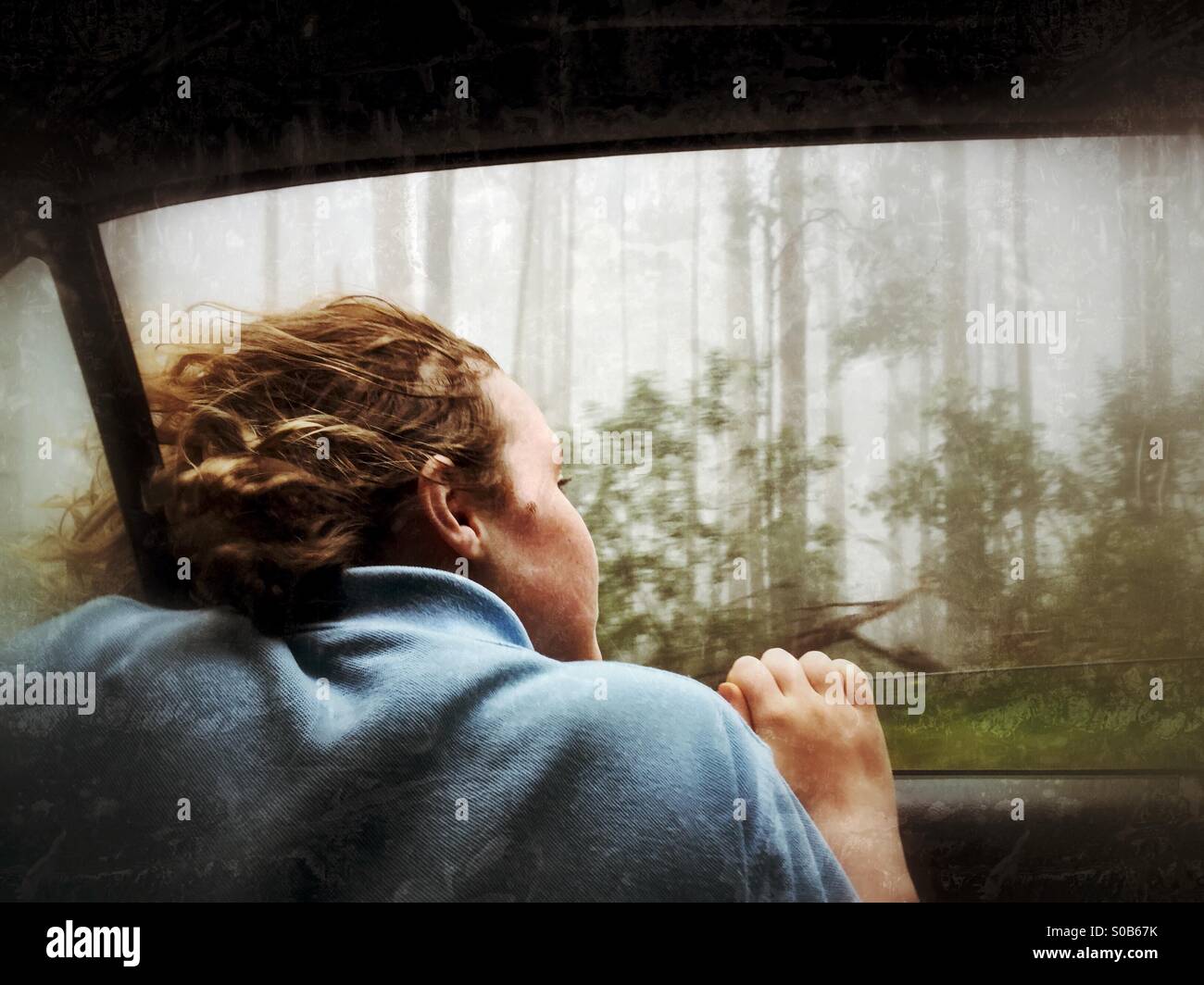 Car trees hi-res stock photography and images - Alamy