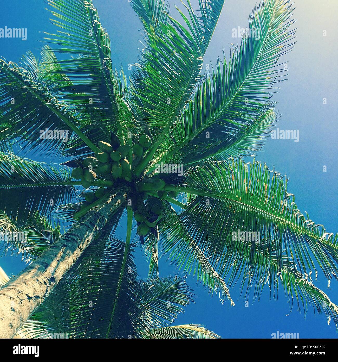 Relaxing at a tree hi-res stock photography and images - Alamy