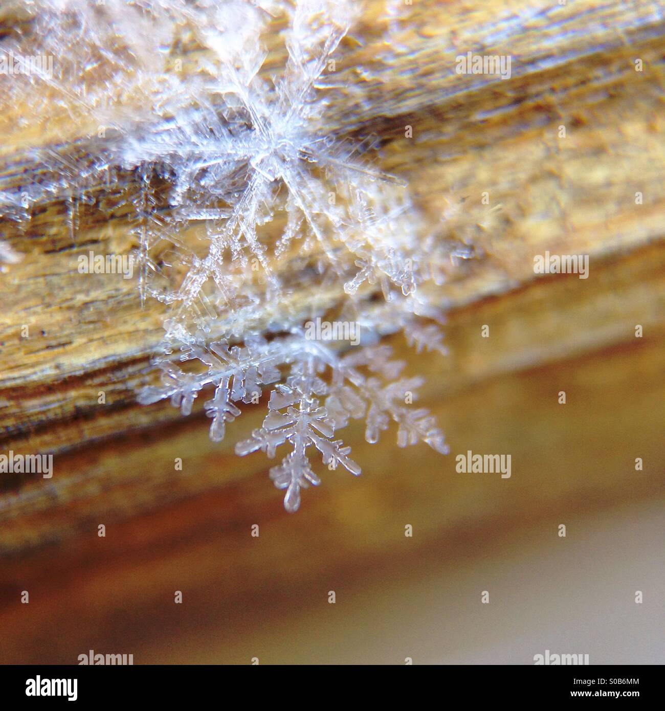 Snowflake close up Stock Photo - Alamy