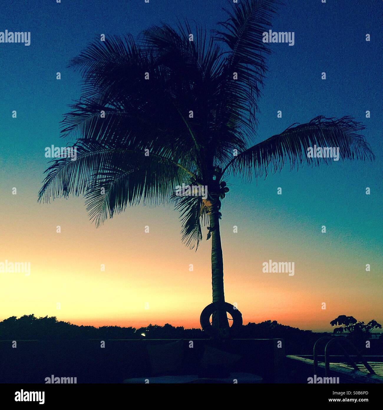 Shadows in the night Stock Photo - Alamy