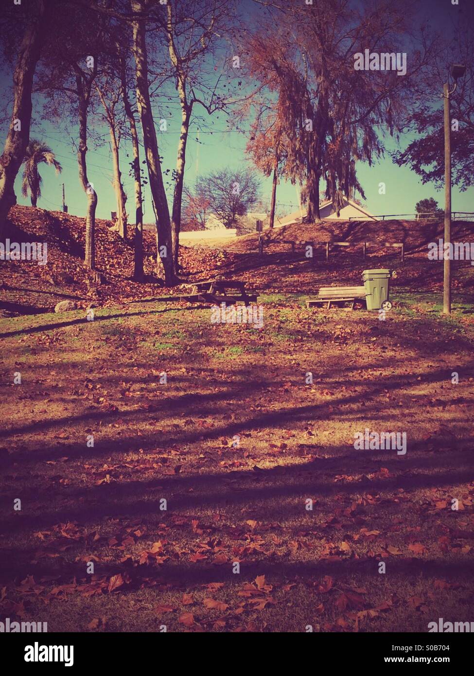 Peaceful day at the park Stock Photo - Alamy