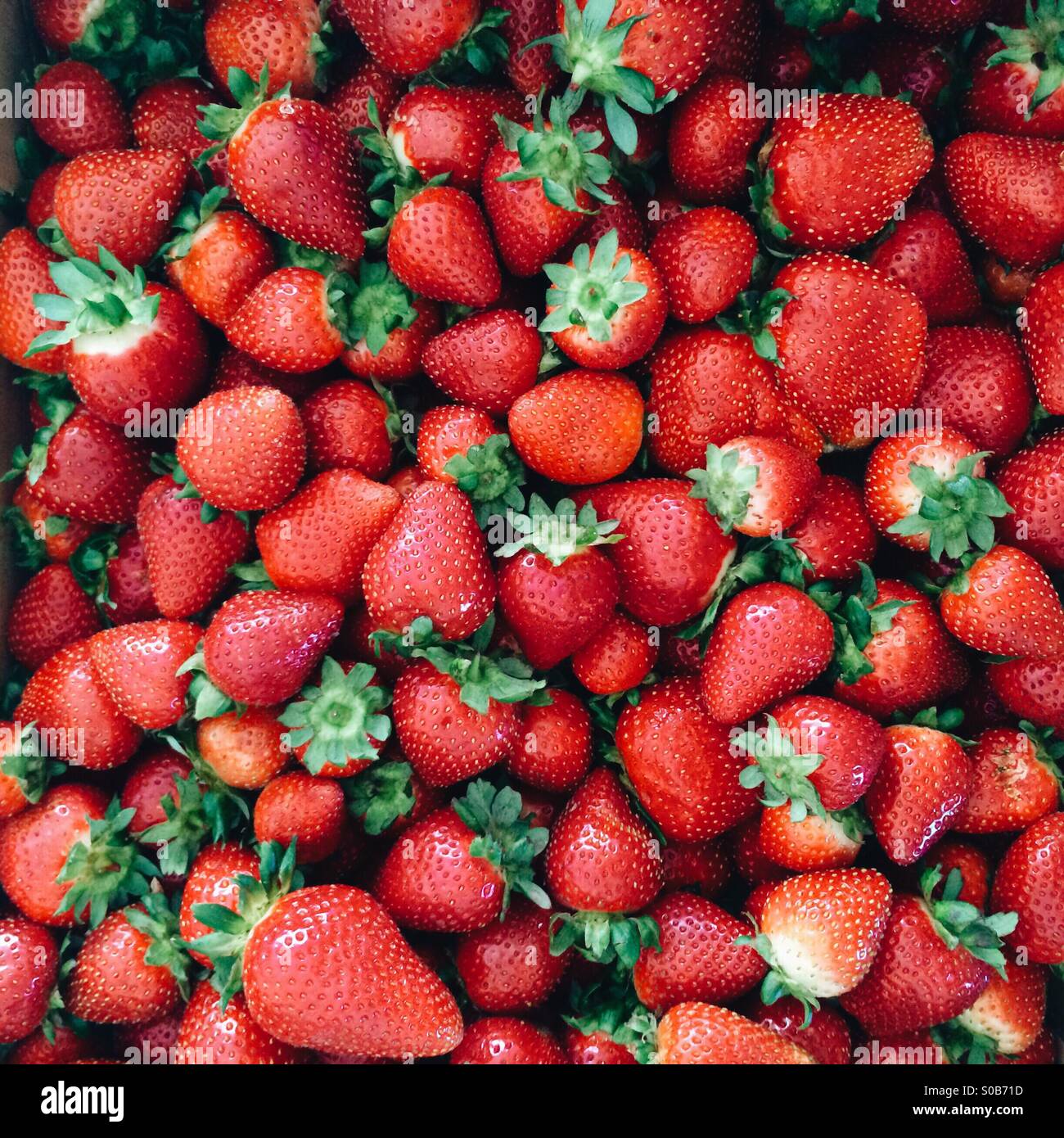 Faded berry hi-res stock photography and images - Alamy
