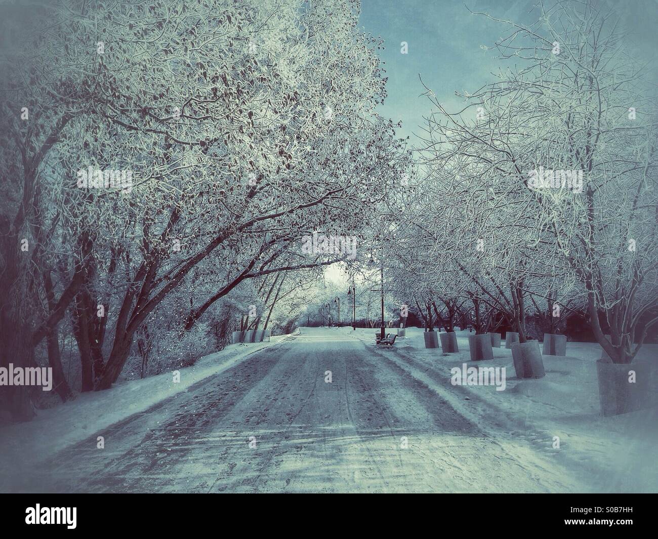 Bow river pathway in Eau Claire area of Calgary, Alberta, Canada Stock ...