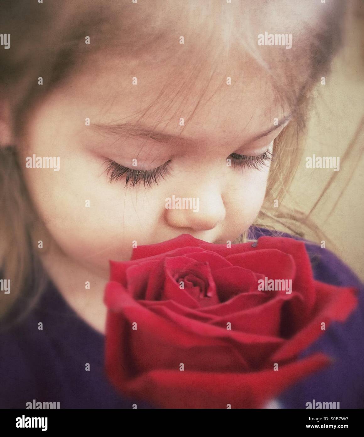 Kid admiring hi-res stock photography and images - Alamy