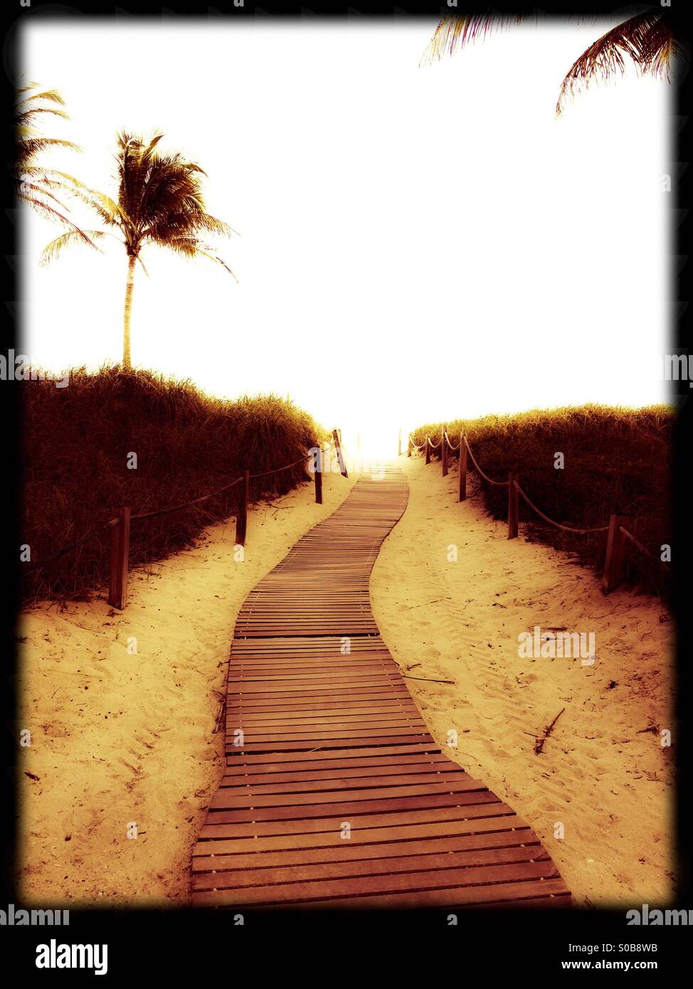 Pathway beach miami beach hi-res stock photography and images - Alamy