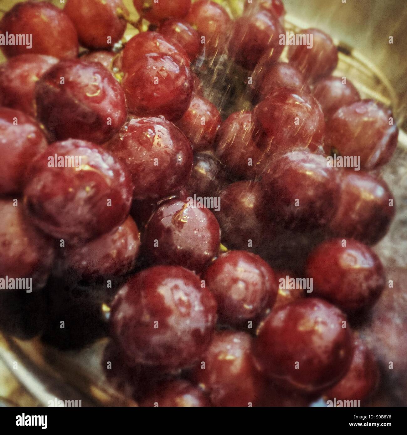 Grapes water hi-res stock photography and images - Alamy
