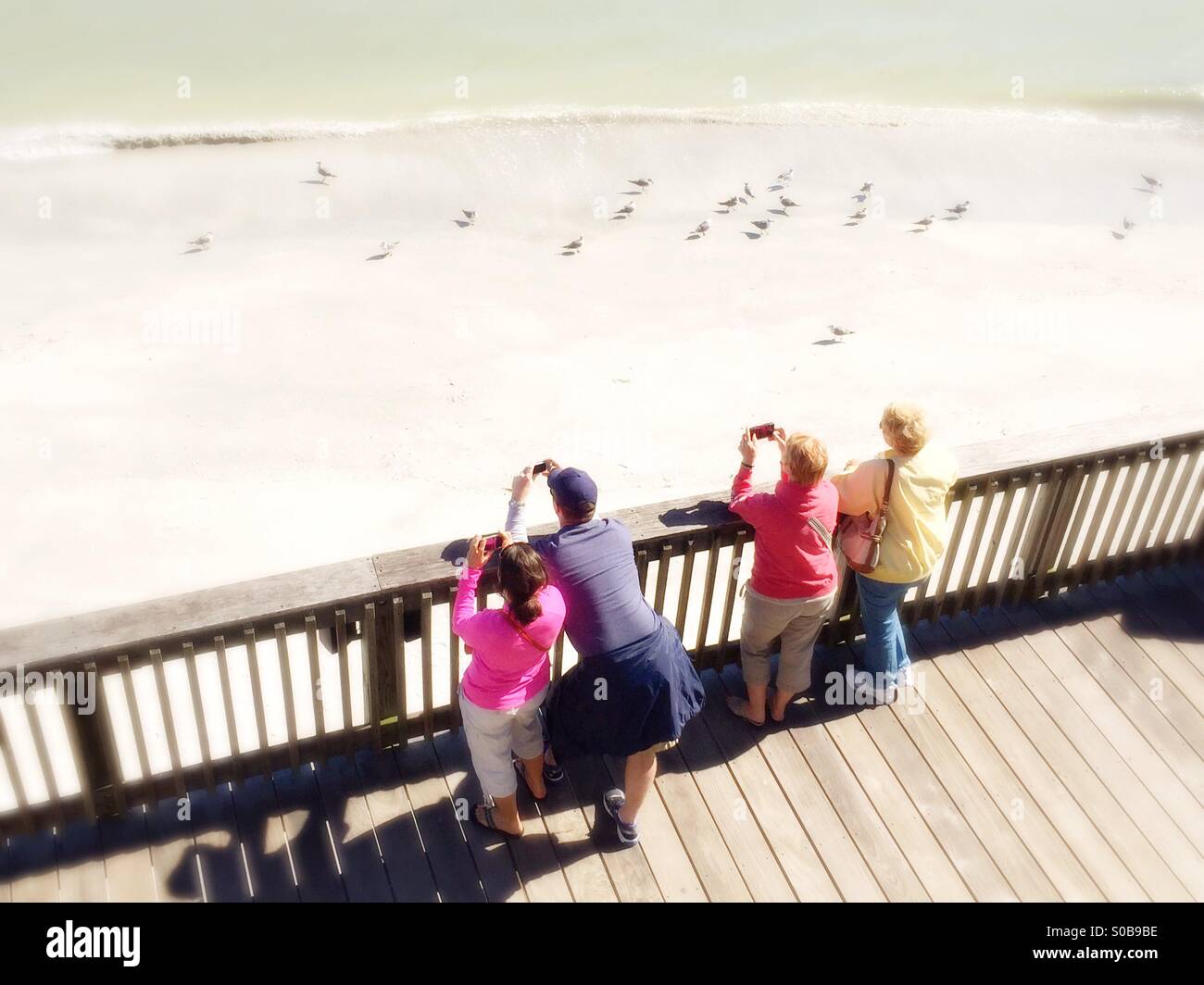 Tourists taking pictures, Florida Stock Photo - Alamy