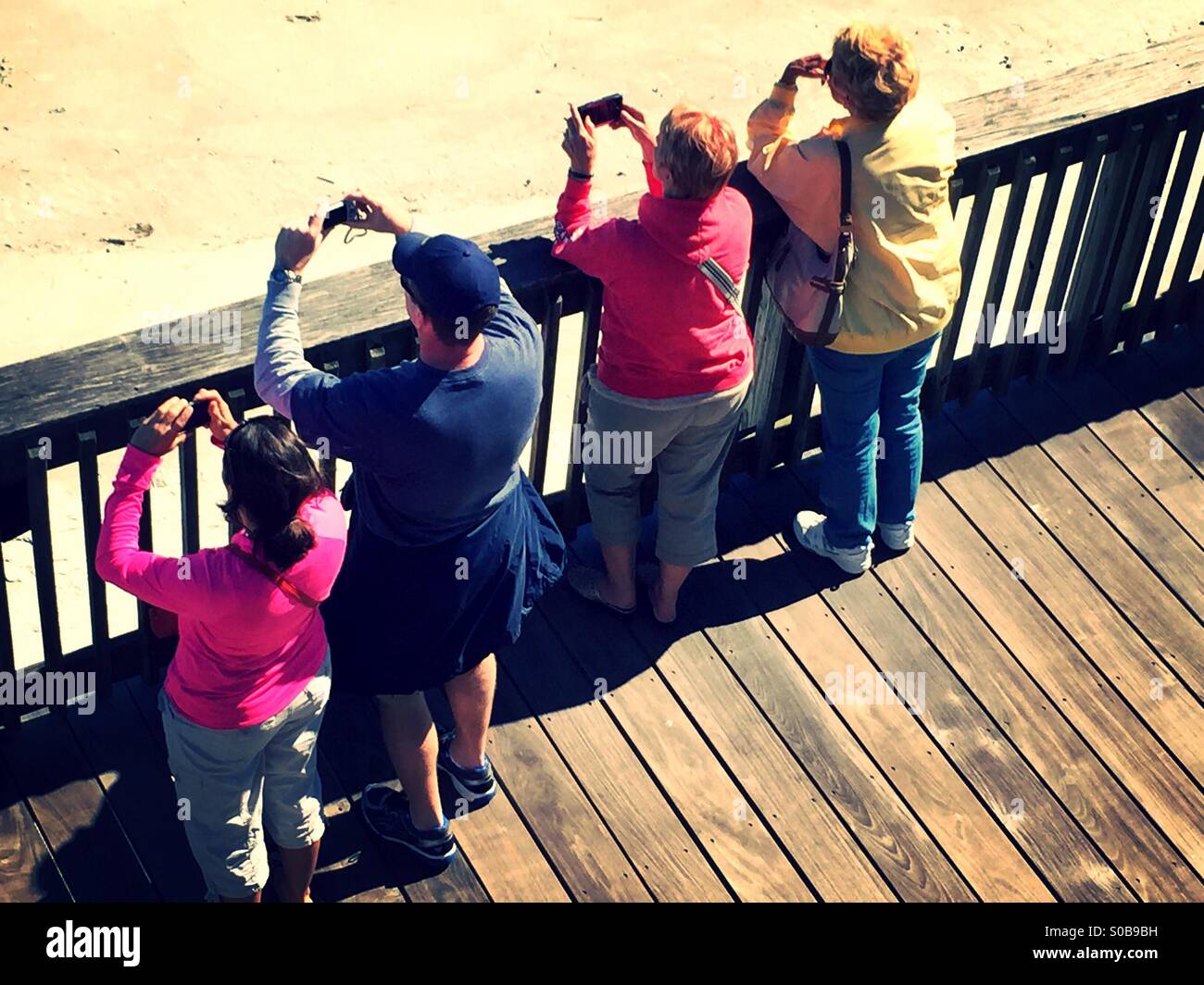 Tourists taking pictures,Florida Stock Photo - Alamy