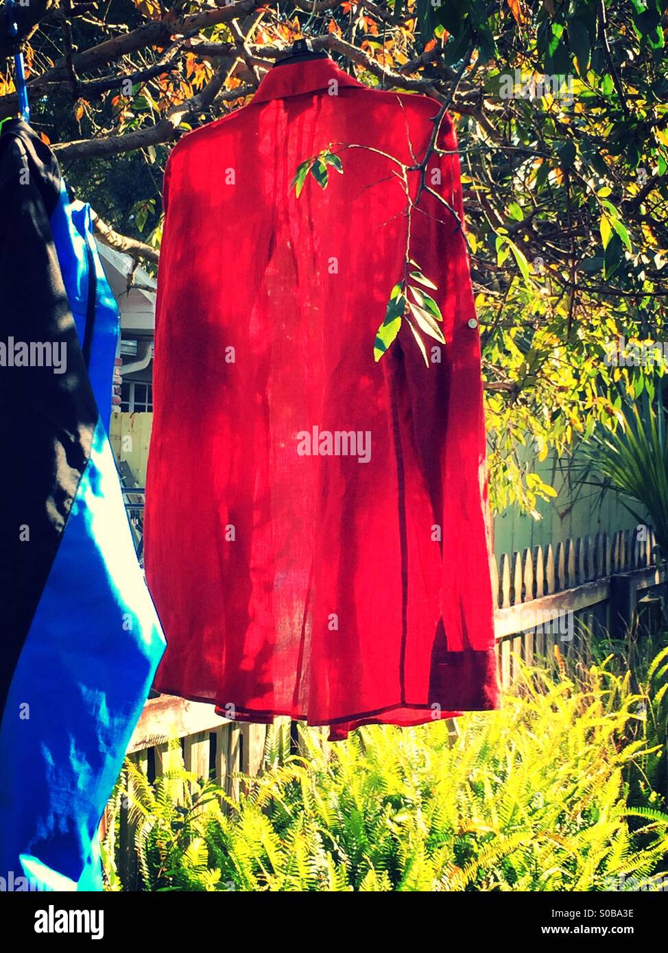 Laundry hanging on tree Stock Photo - Alamy