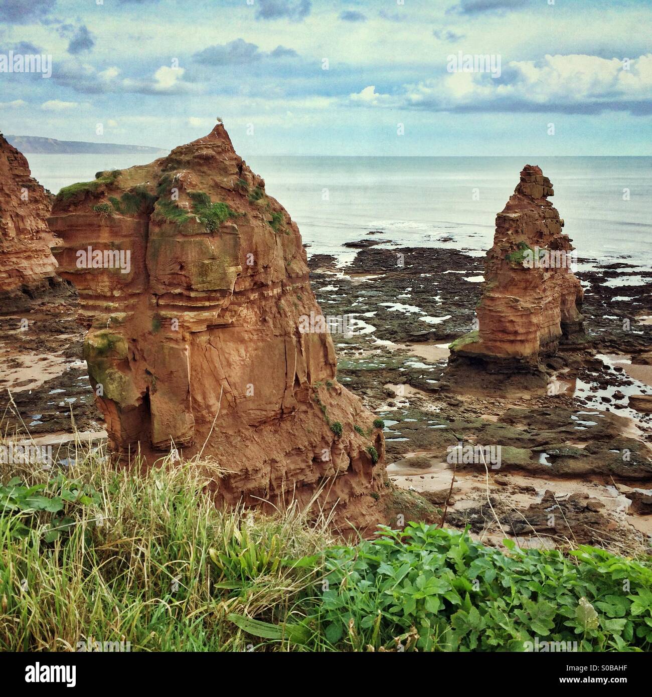 Ladram bay hi-res stock photography and images - Alamy