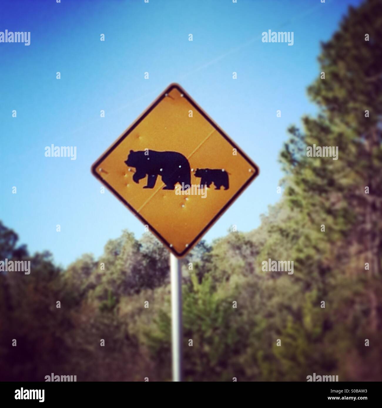 Bear Crossing Road Sign High Resolution Stock Photography and Images ...