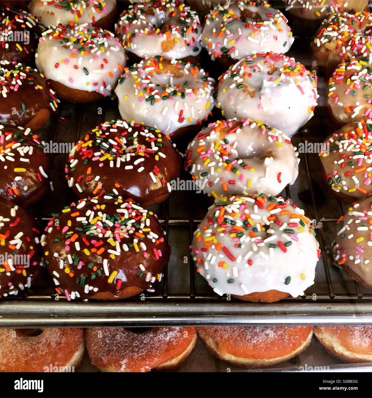 Chocolate maple donut hi-res stock photography and images - Alamy