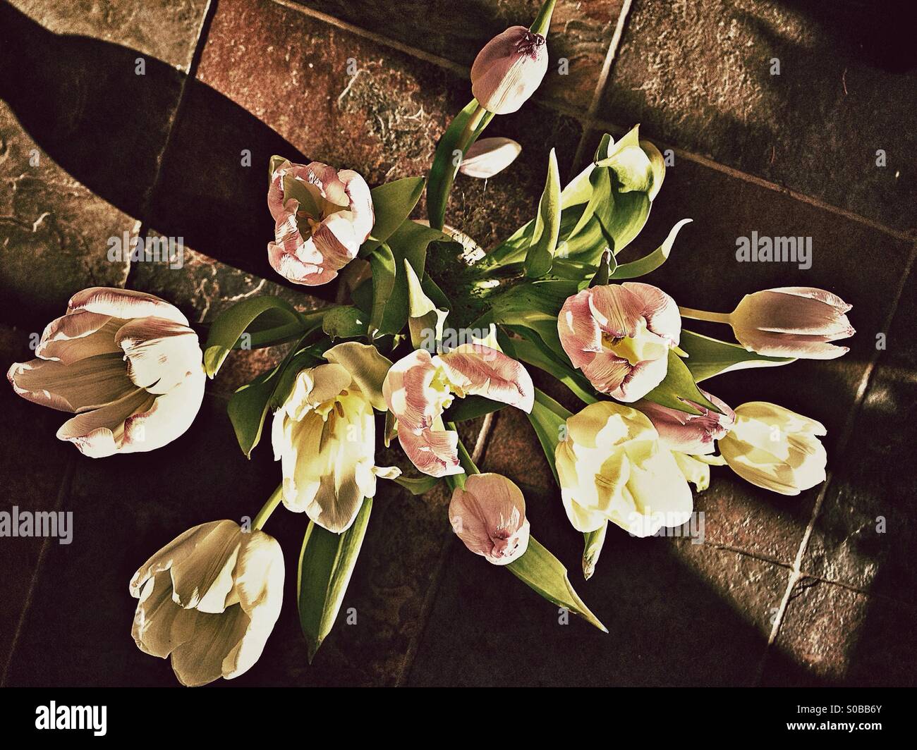Floor vase hi-res stock photography and images - Alamy