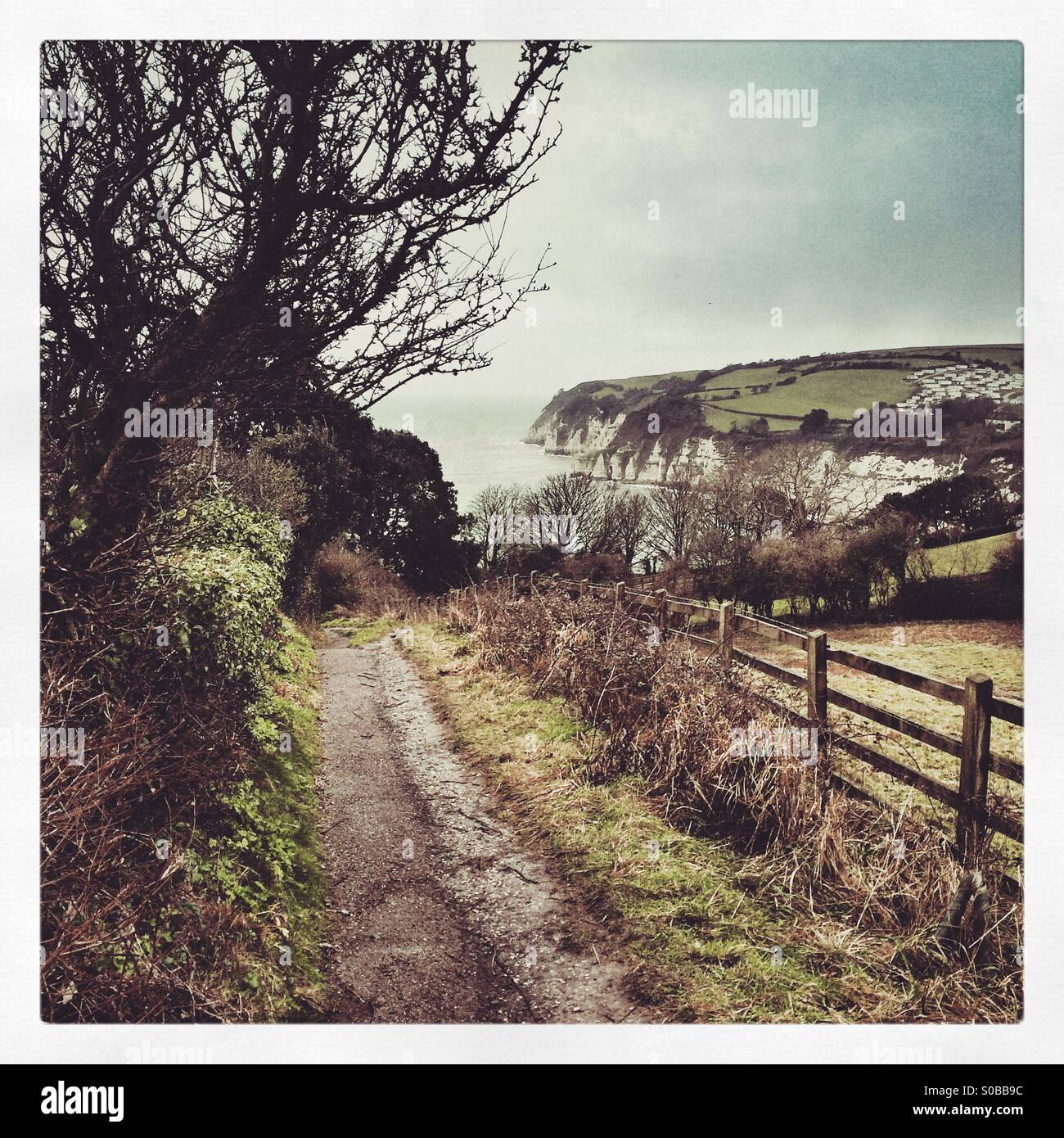 The Coastal path near Beer in Devon Stock Photo - Alamy