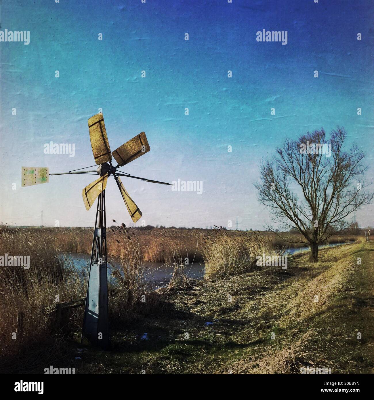 Tree mill landscape hi-res stock photography and images - Alamy