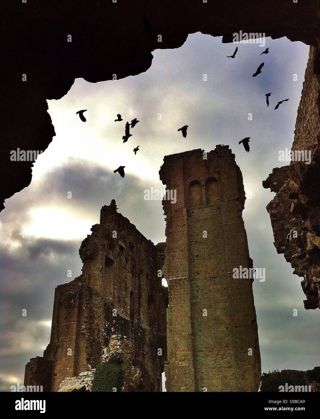 Crows over the castle Stock Photo - Alamy