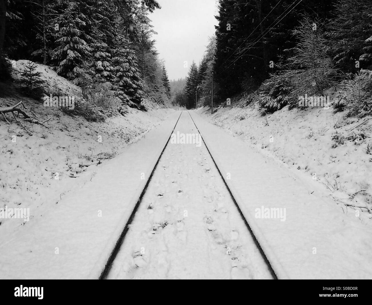Trian hi-res stock photography and images - Alamy