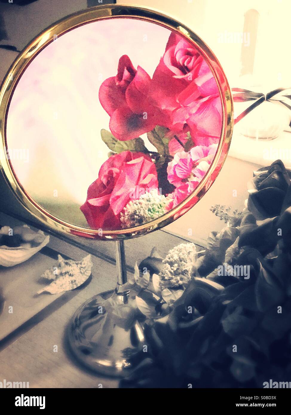 Roses in mirror Stock Photo - Alamy