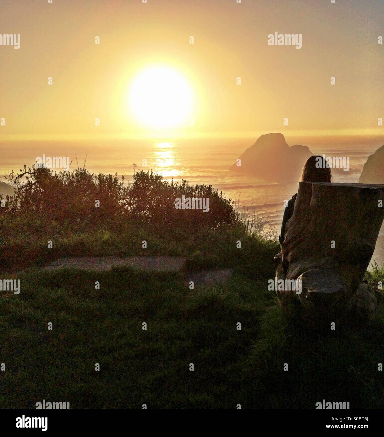 Beauty gazing hi-res stock photography and images - Alamy