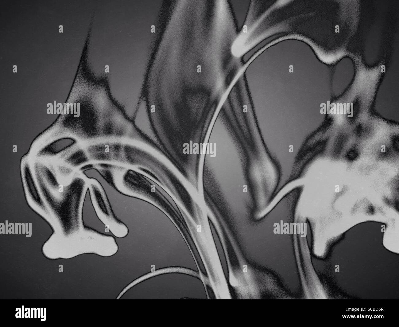 Inverted image hi-res stock photography and images - Alamy